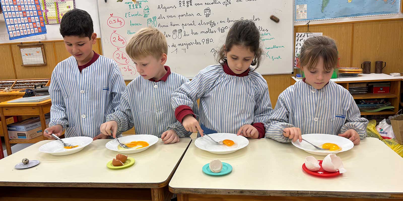Una experiència única al mercat de Sant Gervasi - Escola L'Horitzo